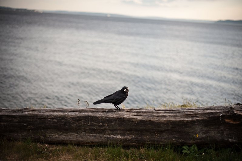 Seattle-10.jpg - Marc Chatelain